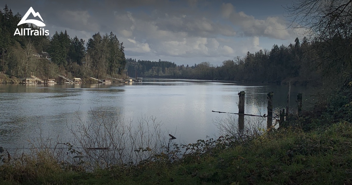 Best hikes and trails in Logging Road Trail | AllTrails