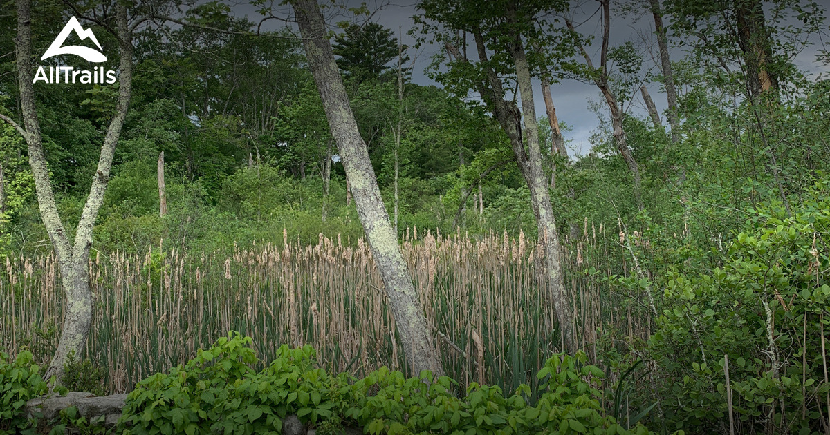 Best hikes and trails in Appleton Farms | AllTrails