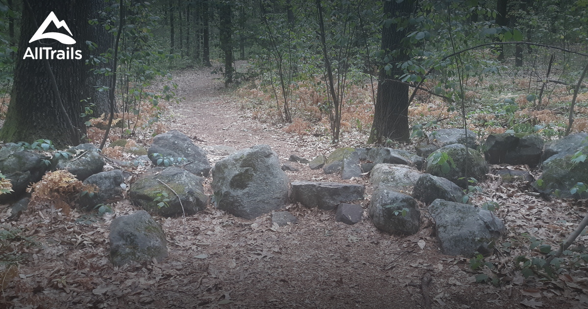 Best hikes and trails in Hayden Woods | AllTrails
