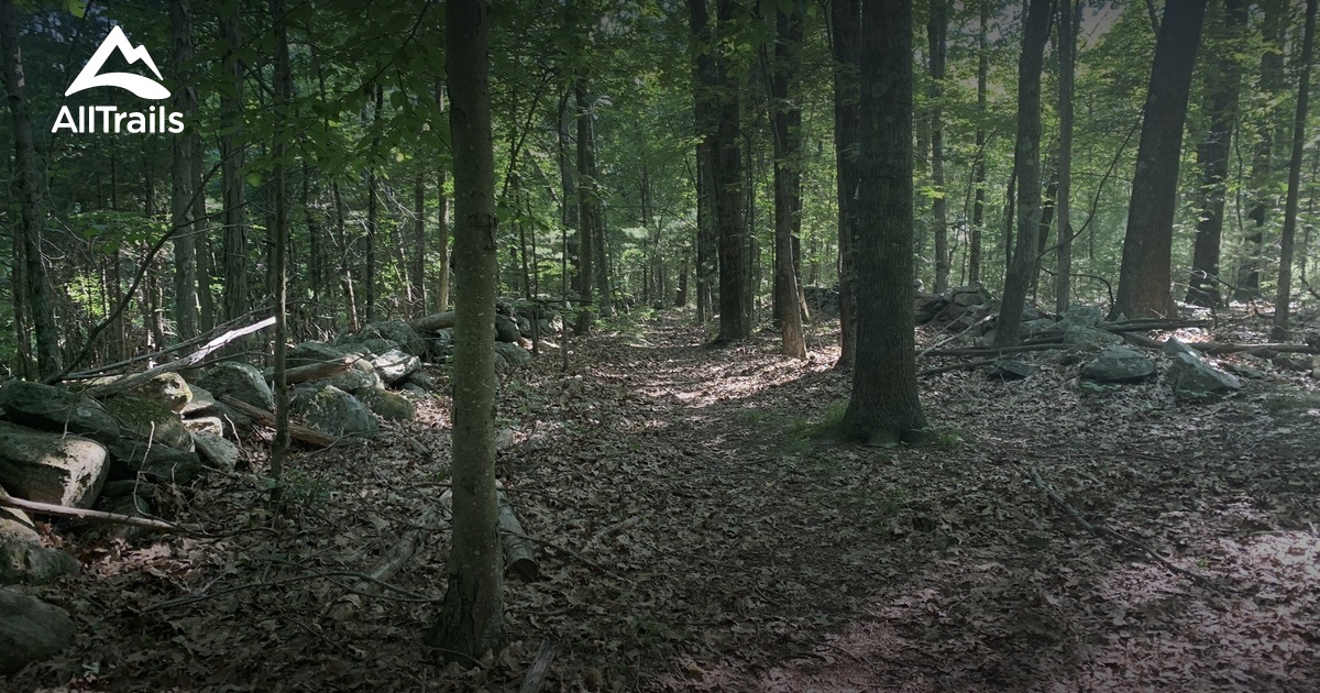 Best hikes and trails in Fay Grant Bird Sanctuary | AllTrails