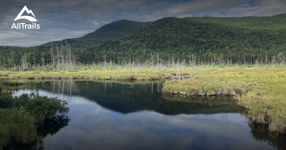 Best hikes and trails in Second College Grant | AllTrails