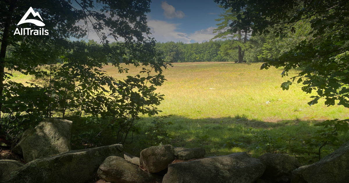 Best hikes and trails in Big Dickerman Town Forest | AllTrails