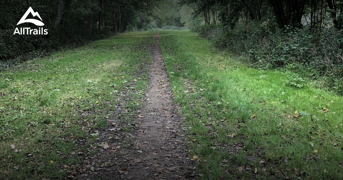 Best hikes and trails in Howe Wood Park | AllTrails