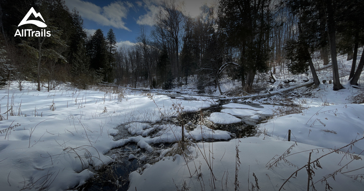 Best hikes and trails in Beeton Forest | AllTrails