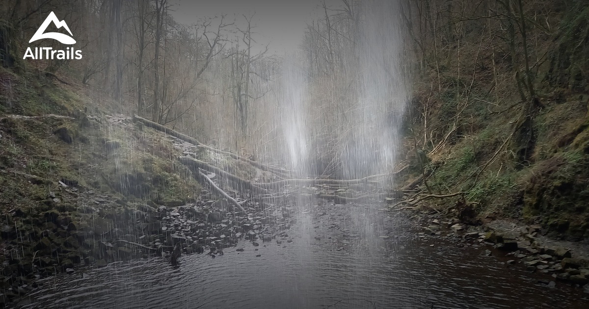 Best hikes and trails in Crynant Community Forest | AllTrails