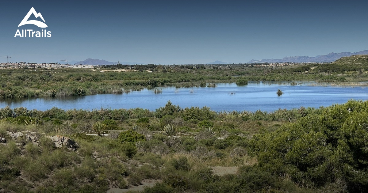 Best hikes and trails in Els Bassars - Clot de Galvany | AllTrails