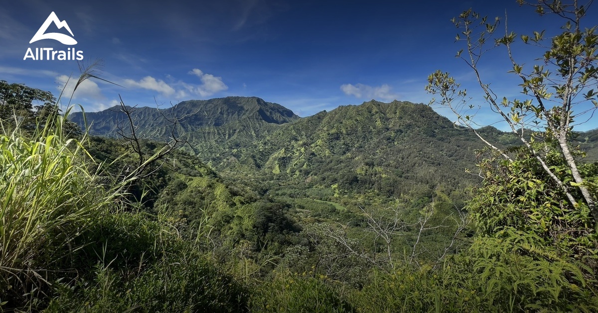 Best hikes and trails in Halelea Forest Reserve | AllTrails