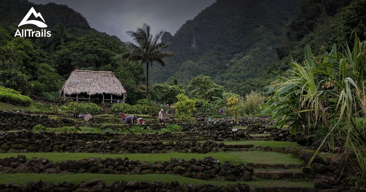 Best hikes and trails in Limahuli Garden and Preserve | AllTrails