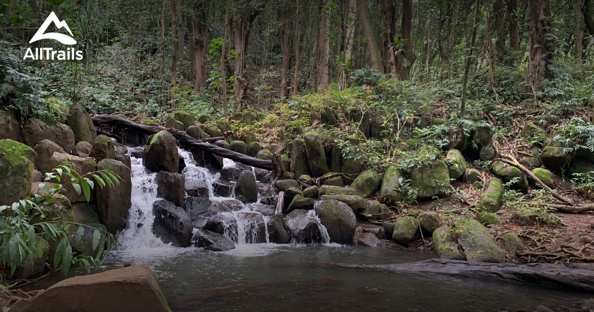 Best hikes and trails in Wailua River State Park | AllTrails