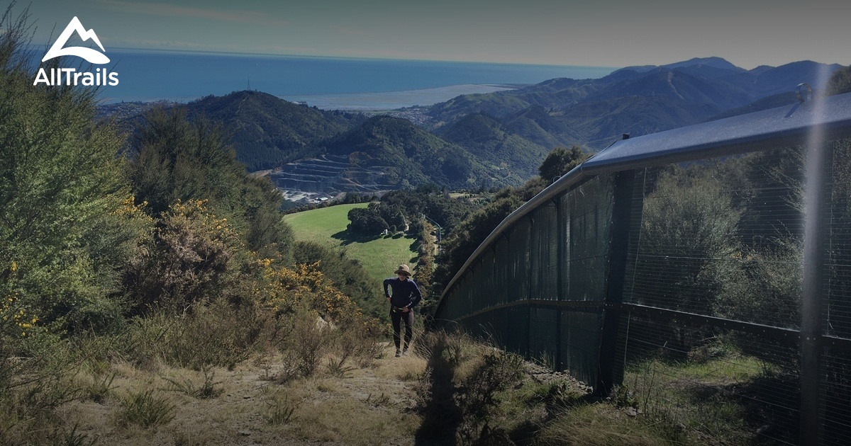 Best hikes and trails in Brook Waimārama Sanctuary | AllTrails