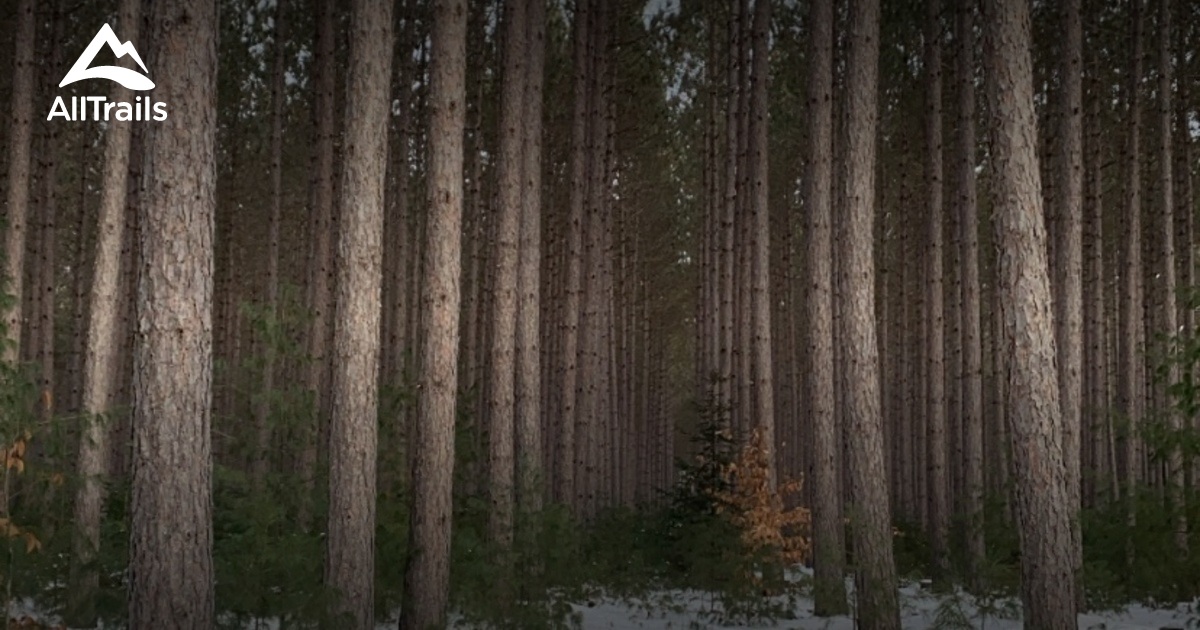 Best hikes and trails in Beachburg County Forest | AllTrails