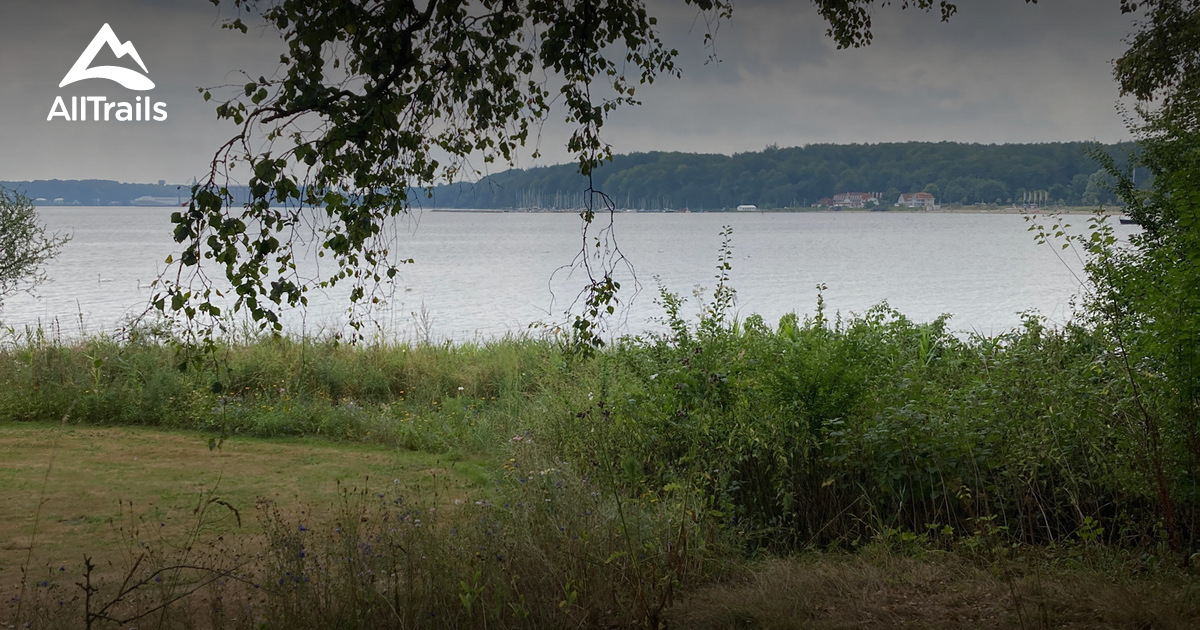 Best hikes and trails in Kollund Skov | AllTrails