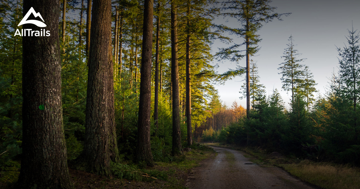 10 Best hikes and trails in Nordskoven | AllTrails