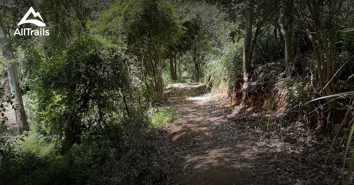 Best hikes and trails in Williams Park | AllTrails