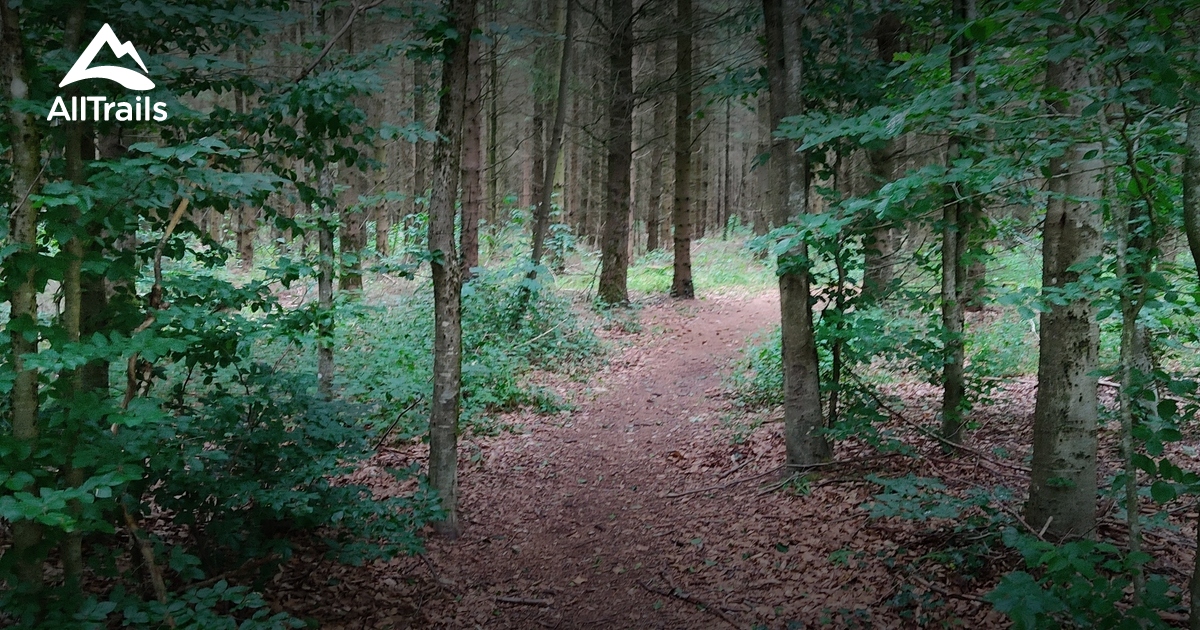 Best hikes and trails in Harte Skov | AllTrails