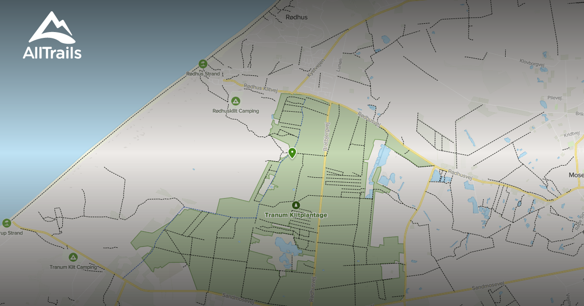 10 Best hikes and trails in Tranum Klitplantage | AllTrails