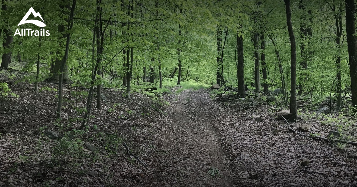 Best hikes and trails in Templin Woods Preserve | AllTrails