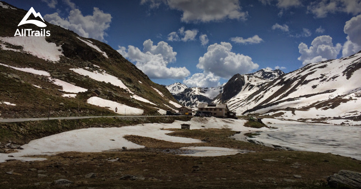 10 bedste ruter med vilde blomster i Biosfera Val Müstair | AllTrails
