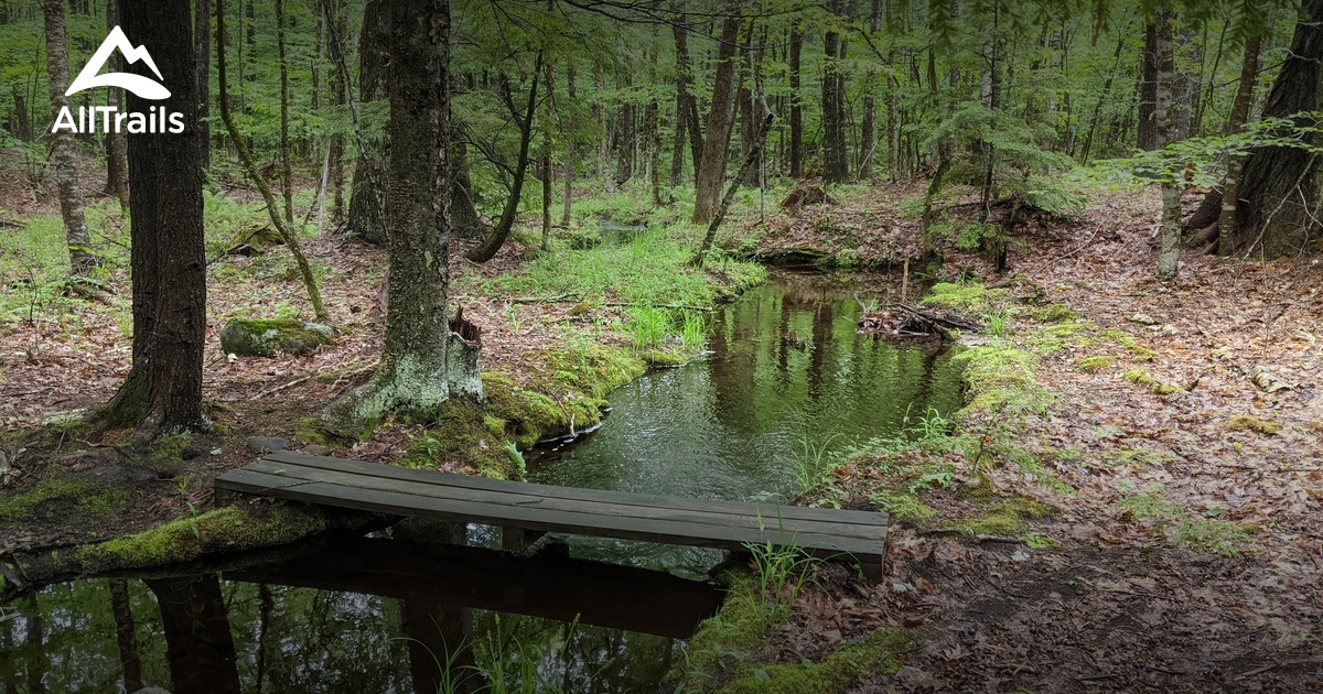 Best hikes and trails in Googins Woods Preserve | AllTrails