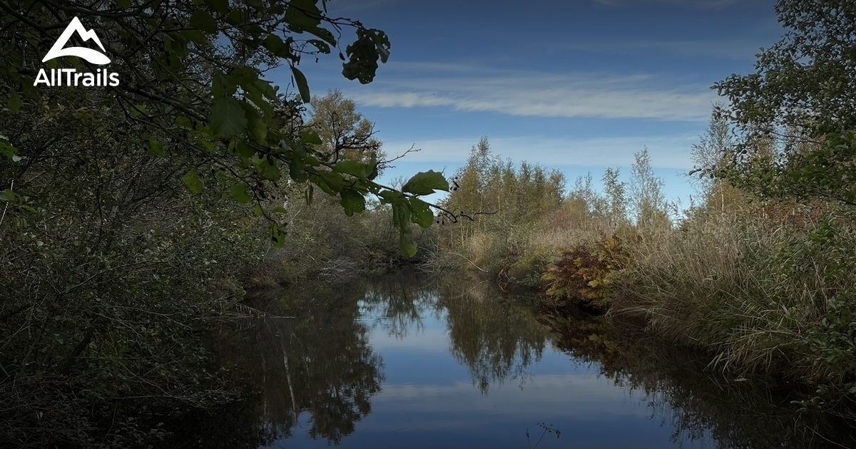 10 Best hikes and trails in Nieuwkoopse Plassen & Lusthof de Haeck ...