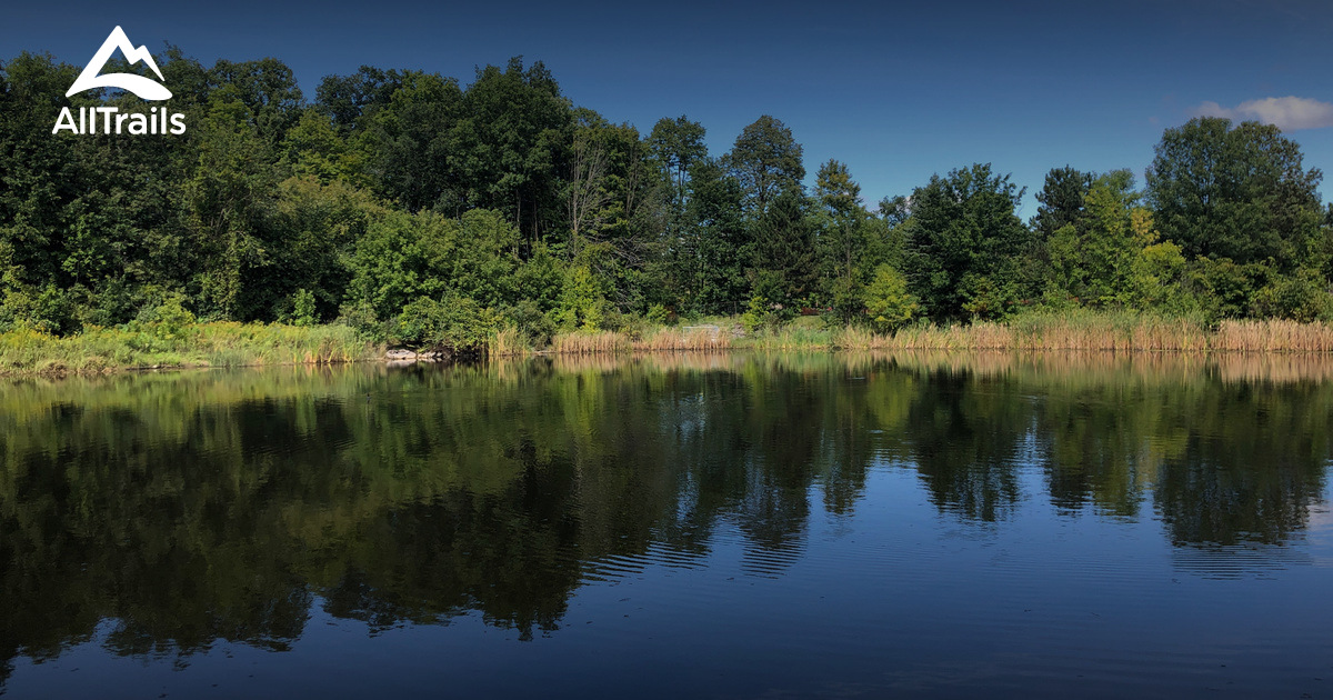 Best bird watching trails in Beaver Pond Park | AllTrails