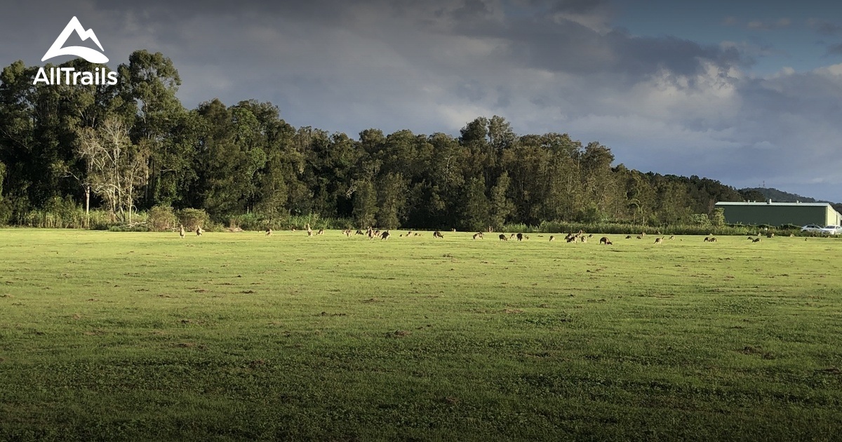 Best hikes and trails in Coombabah Lakelands Conservation Area | AllTrails