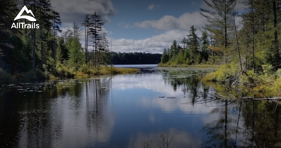 Best hikes and trails in Aldrich Pond Wild Forest | AllTrails