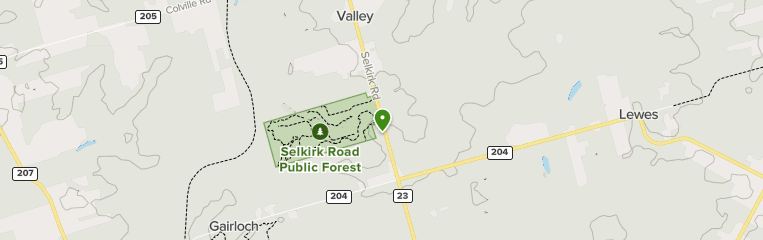 Best Hikes and Trails in Selkirk Road Public Forest | AllTrails