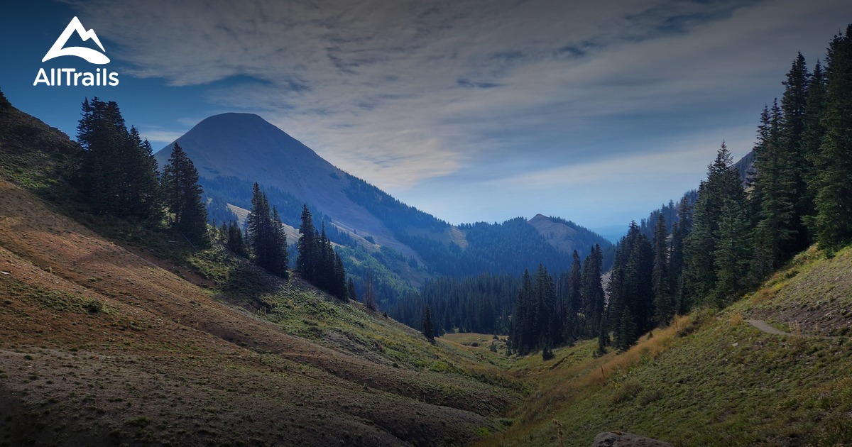Best views trails in The Whole Enchilada Trail System | AllTrails