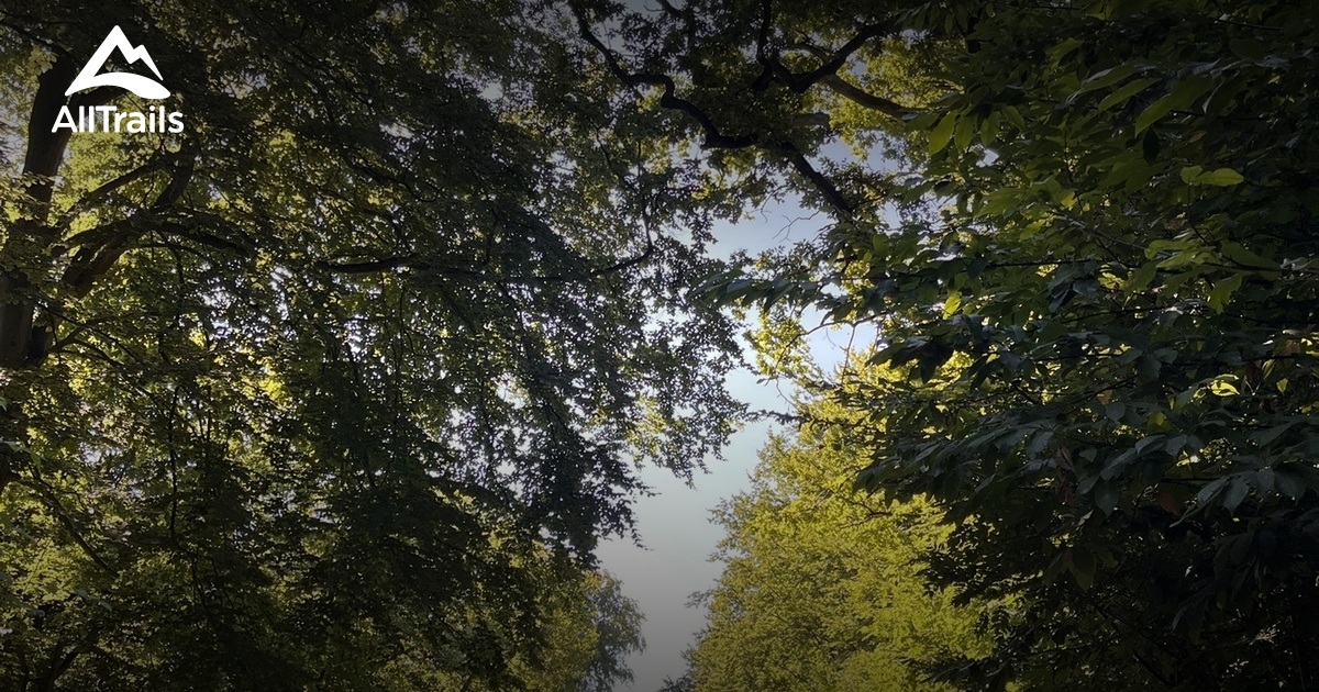 10 Best hikes and trails in Forêt de Marly le Roi | AllTrails