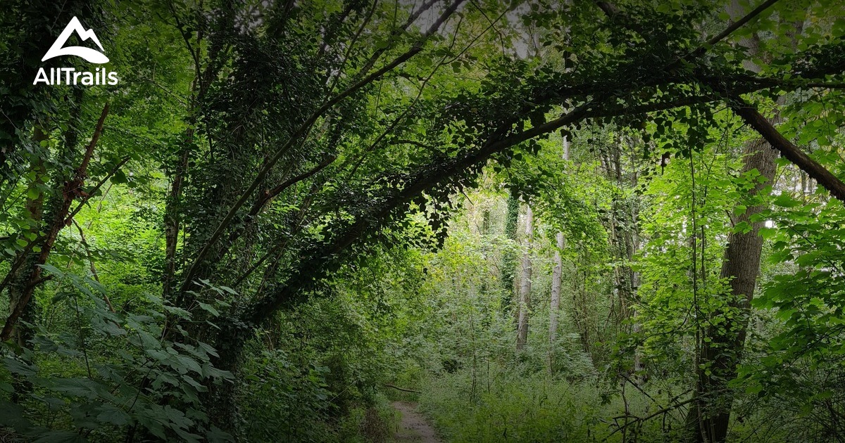 Best hikes and trails in Forêt domaniale de Montceaux | AllTrails