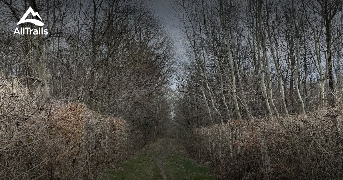 Best hikes and trails in Forêt régionale de Ferrières | AllTrails