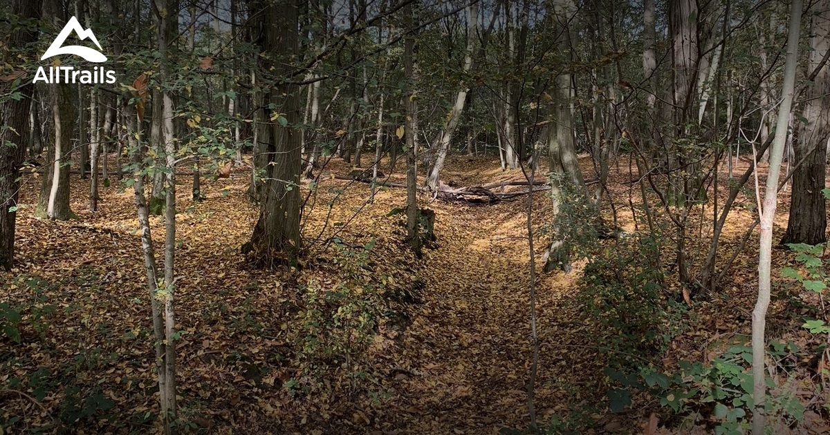 10 Best forest trails in Forêt domaniale de Notre-Dame | AllTrails