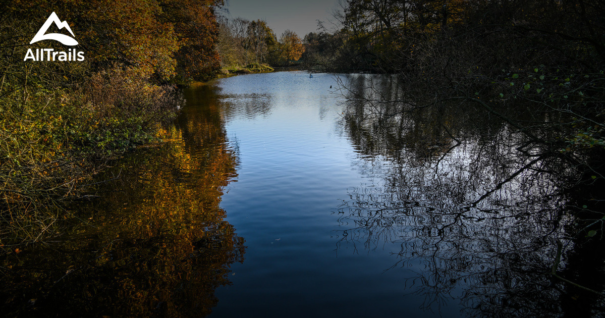 Best hikes and trails in Rufford Country Park | AllTrails