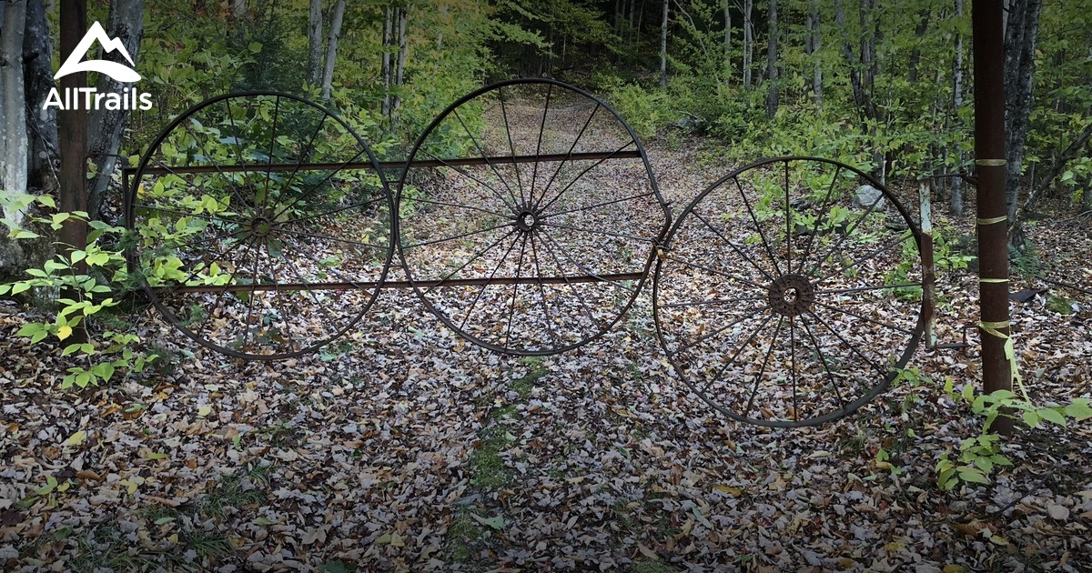 Best hikes and trails in Hawks Mountain Wildlife Management Area ...