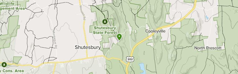 Best Hikes and Trails in Shutesbury State Forest | AllTrails