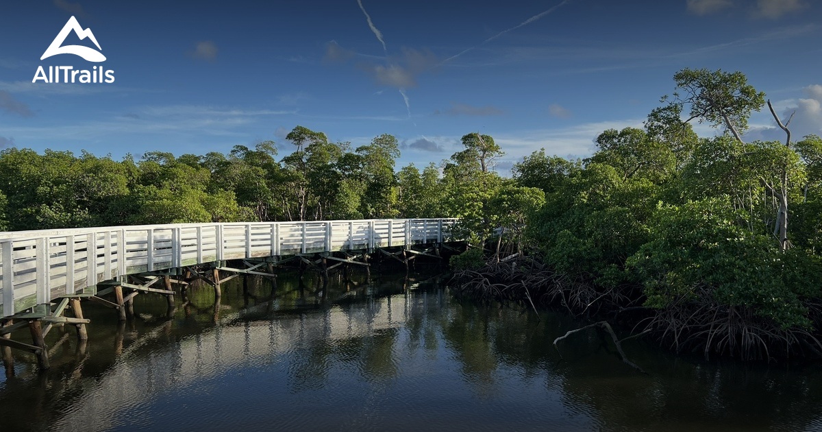 Best forest trails in Anne Kolb Nature Center | AllTrails