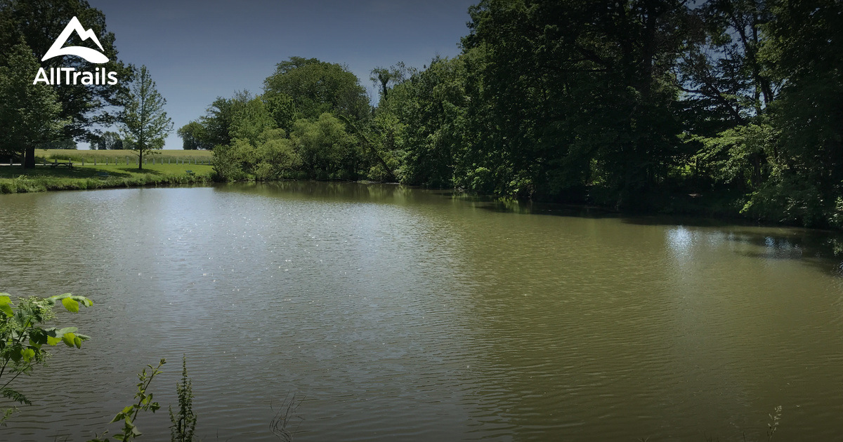 Best hikes and trails in Howard Virgin Timber Park | AllTrails