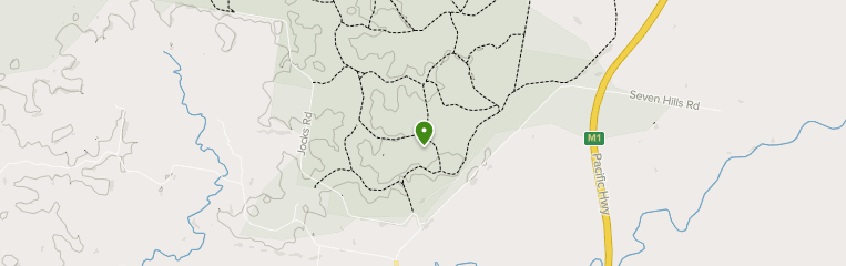 Best Hikes and Trails in Tamban State Forest | AllTrails