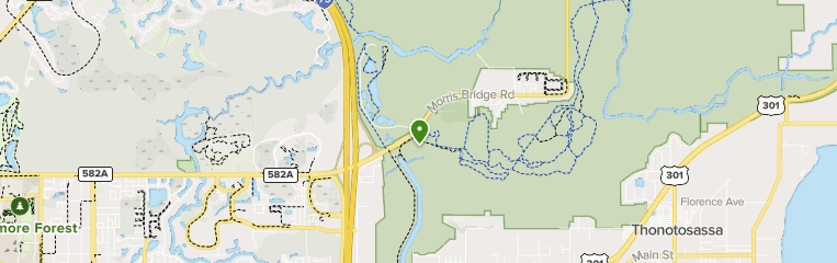 Best Hikes and Trails in Morris Bridge Conservation Park | AllTrails