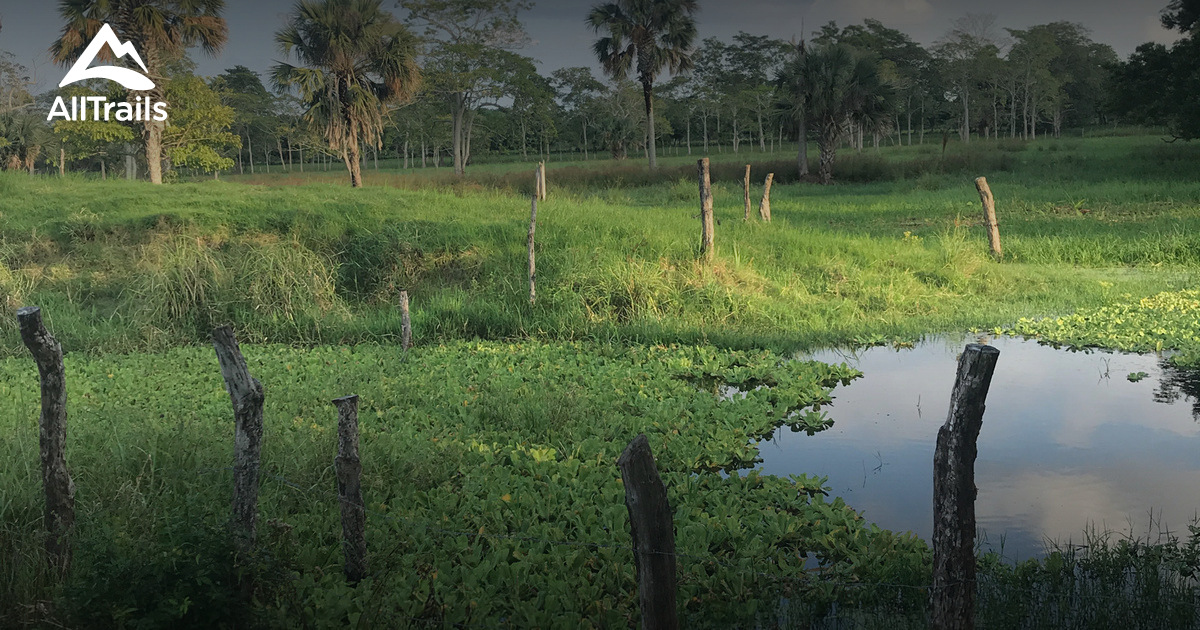 Los mejores senderos y rutas en Los Pantanos de Centla | AllTrails