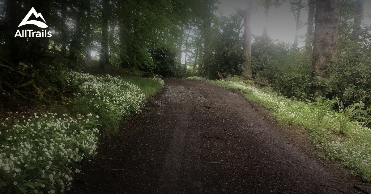 Best hikes and trails in Dartrey Forest | AllTrails