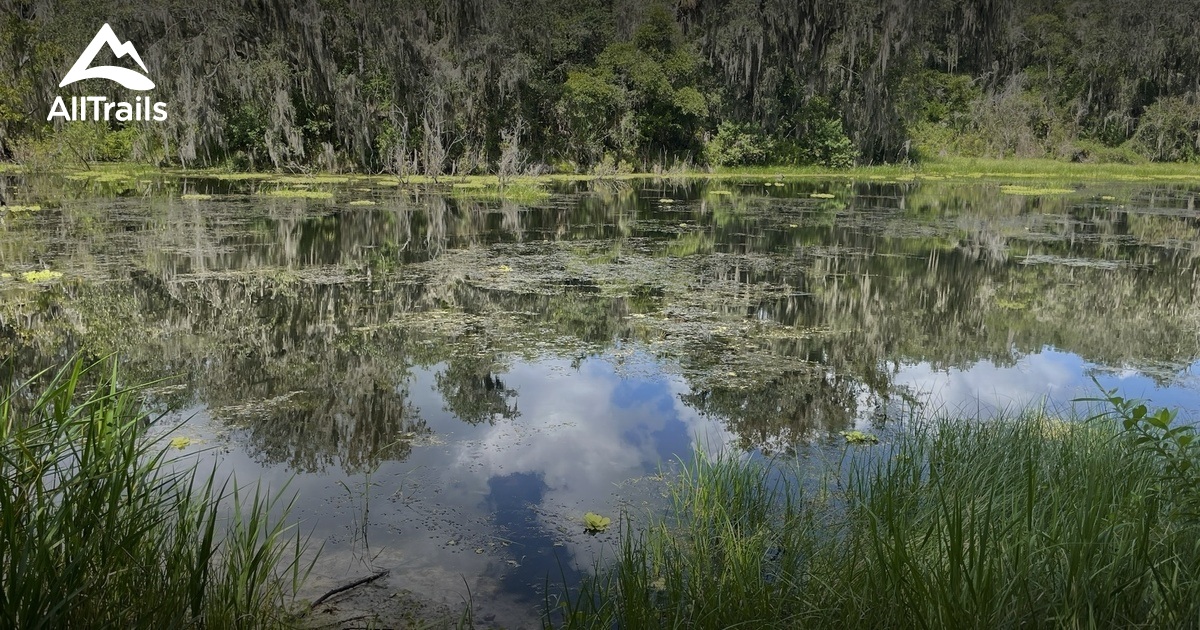 Best hikes and trails in Alafia River Corridor North | AllTrails
