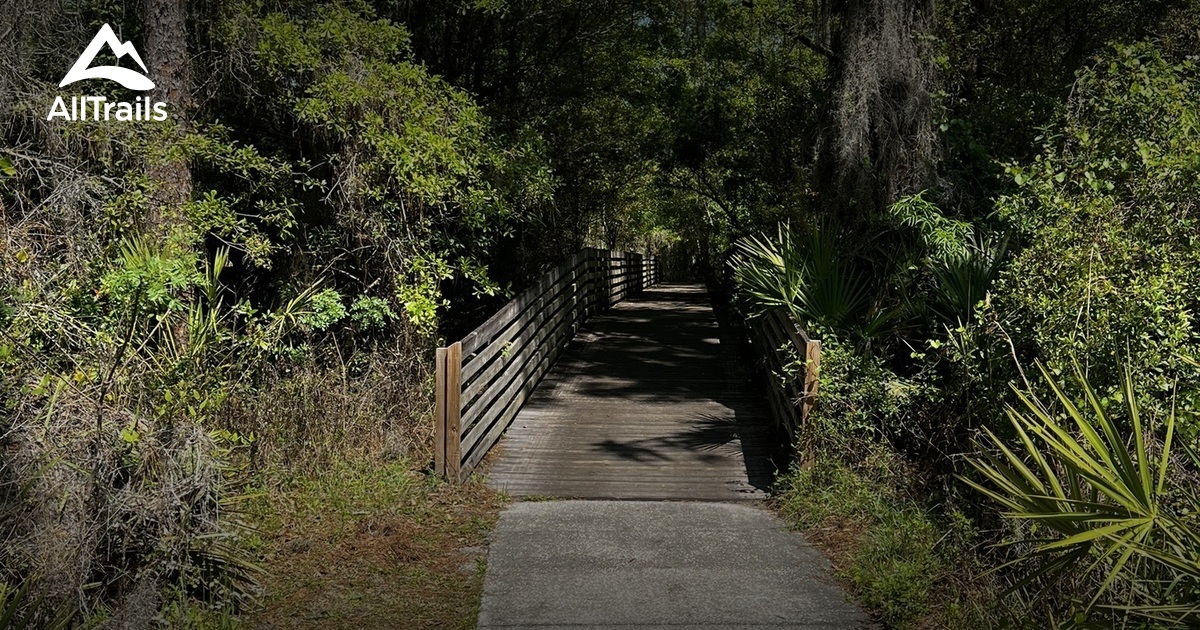 Best hikes and trails in Rhodine Scrub Nature Preserve | AllTrails