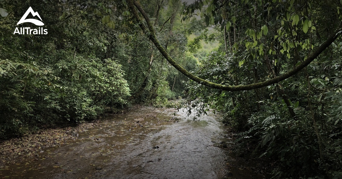 Parc national de Carara : les meilleures randonnées courtes | AllTrails