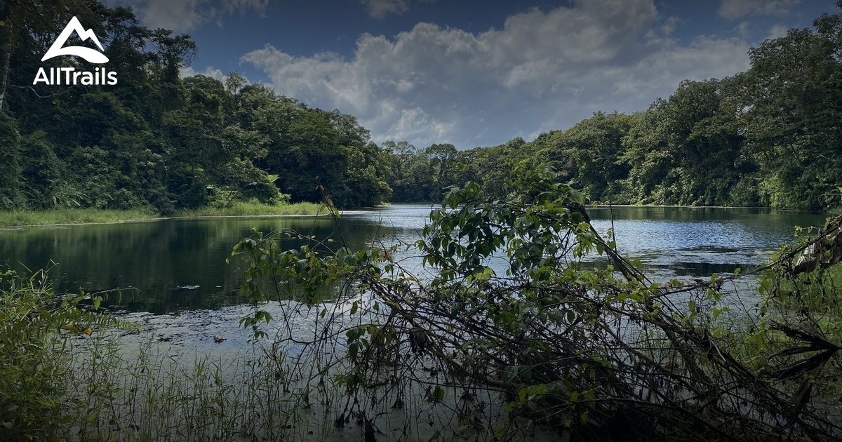 Los mejores senderos para correr en Parque Nacional Volcán Arenal ...