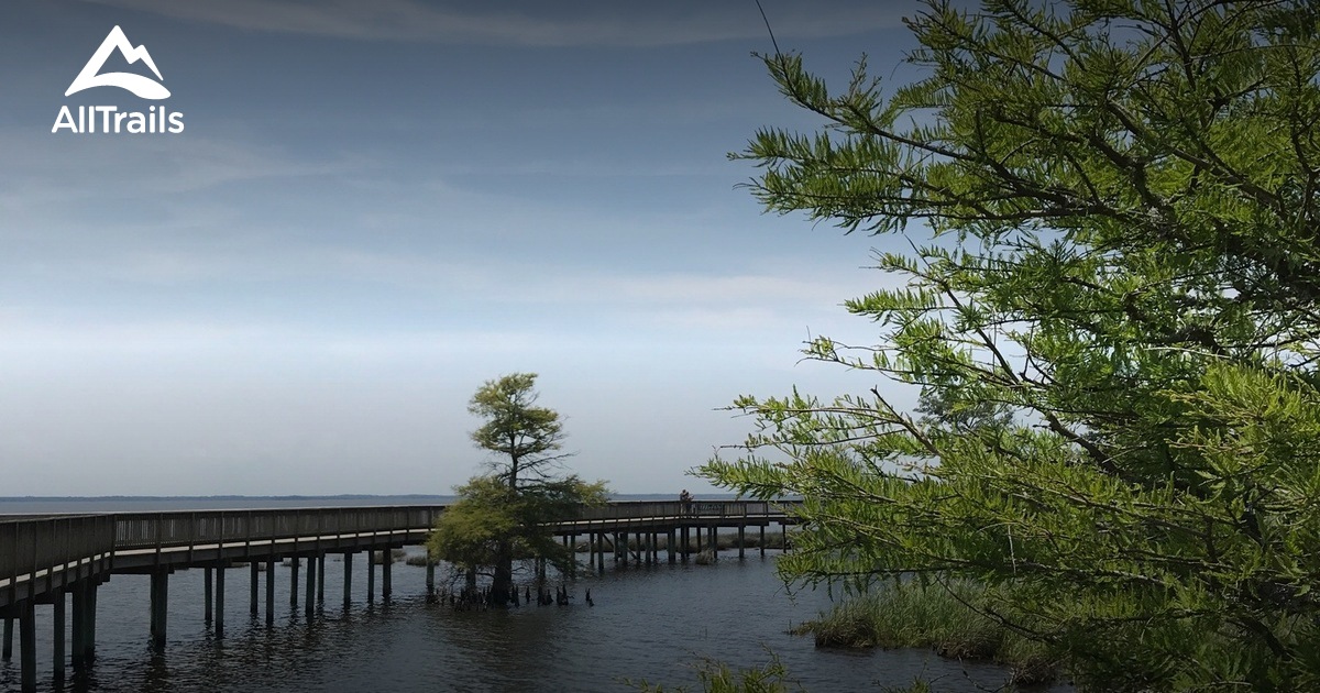 Best hikes and trails in Duck Park | AllTrails