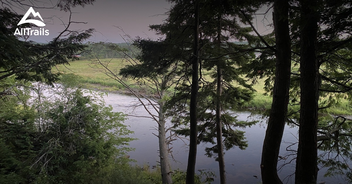 Best hikes and trails in Scenic Park | AllTrails