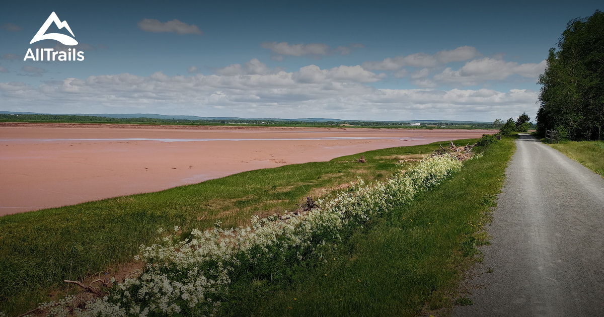 Best forest trails in Cobequid Trail | AllTrails