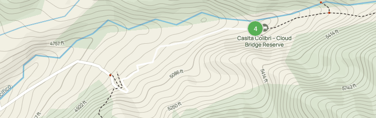 Las mejores rutas de Reserva Natural Cloudbridge en 2023 | AllTrails